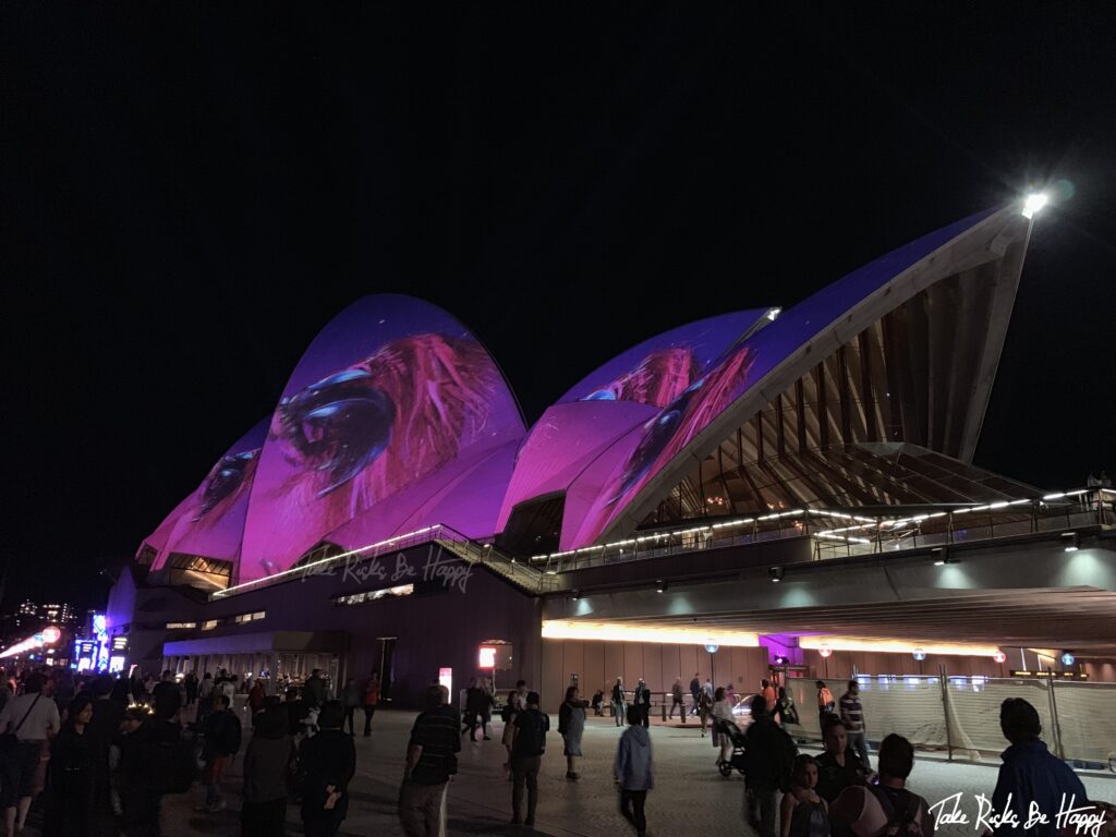 Vivid Sydney Guide: All About Sydney's Biggest Festival - Take Risks Be ...